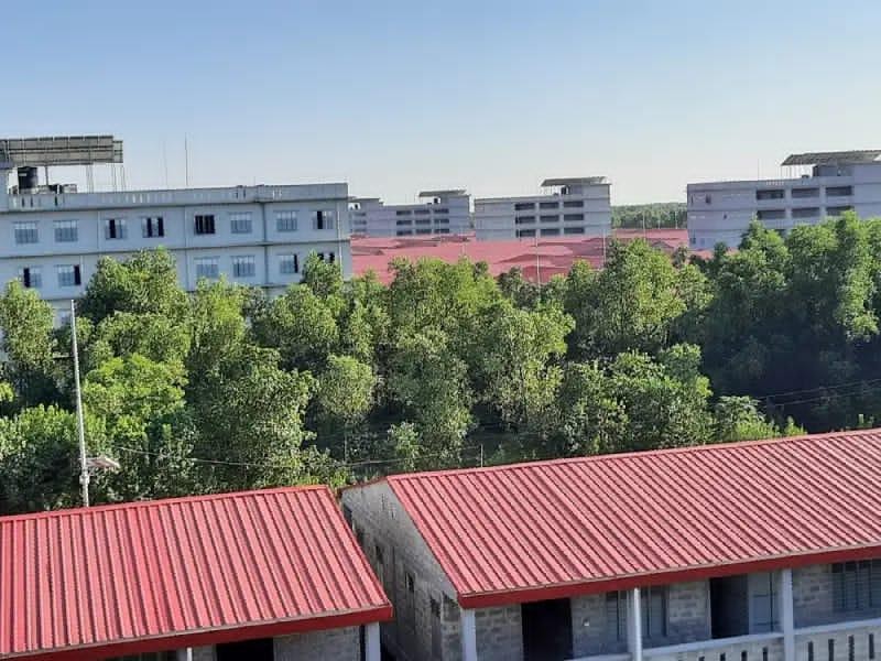 Bhasan Char: Considering the Suitability of Relocating the Rohingya of ...